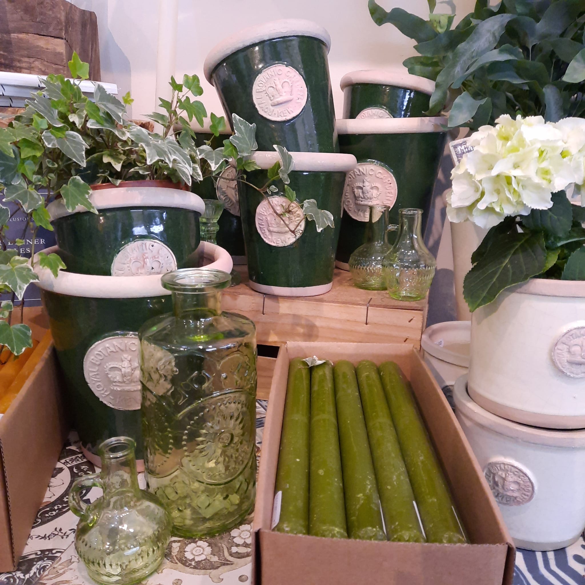All the greens - Kew Botanical Pots – Flowers and Twine